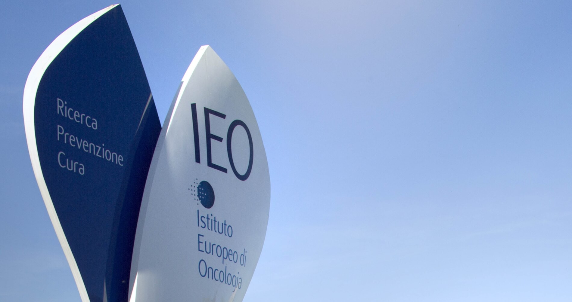 Public Relations for the European Institute of Oncology | GlobalCom PR ...